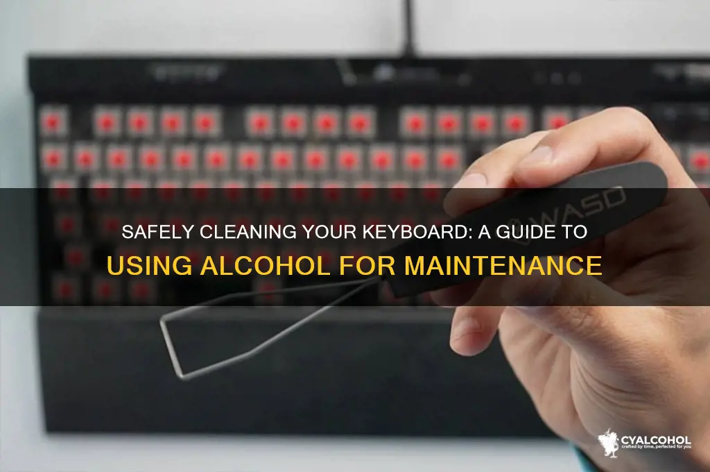 Safely Cleaning Your Keyboard: A Guide To Using Alcohol For Maintenance ...