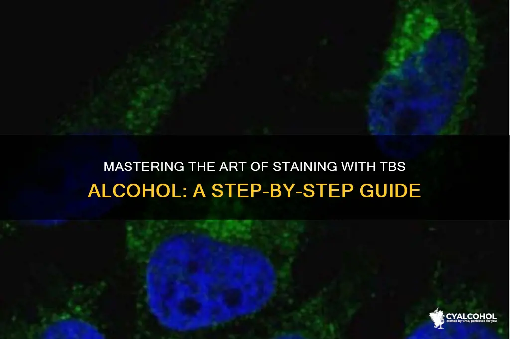Mastering The Art Of Staining With Tbs Alcohol: A Step-By-Step Guide ...