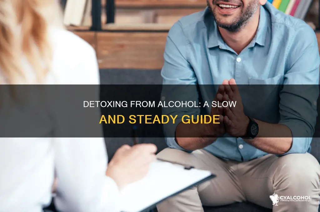 Detoxing From Alcohol: A Slow And Steady Guide | CyAlcohol