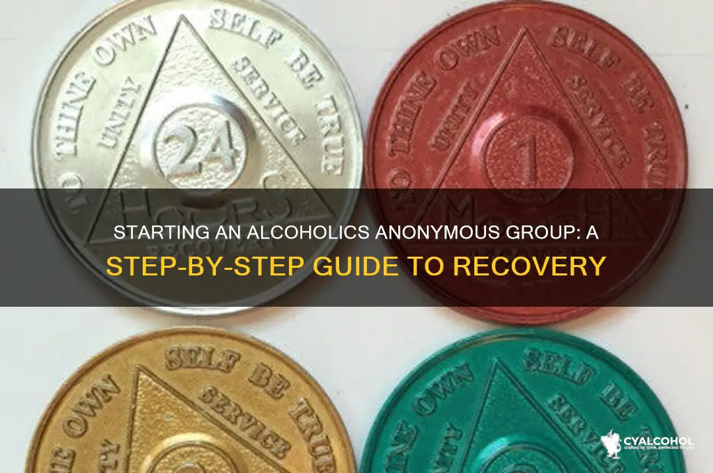 Starting An Alcoholics Anonymous Group: A Step-By-Step Guide To ...