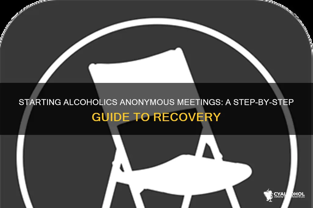 Starting Alcoholics Anonymous Meetings: A Step-By-Step Guide To ...