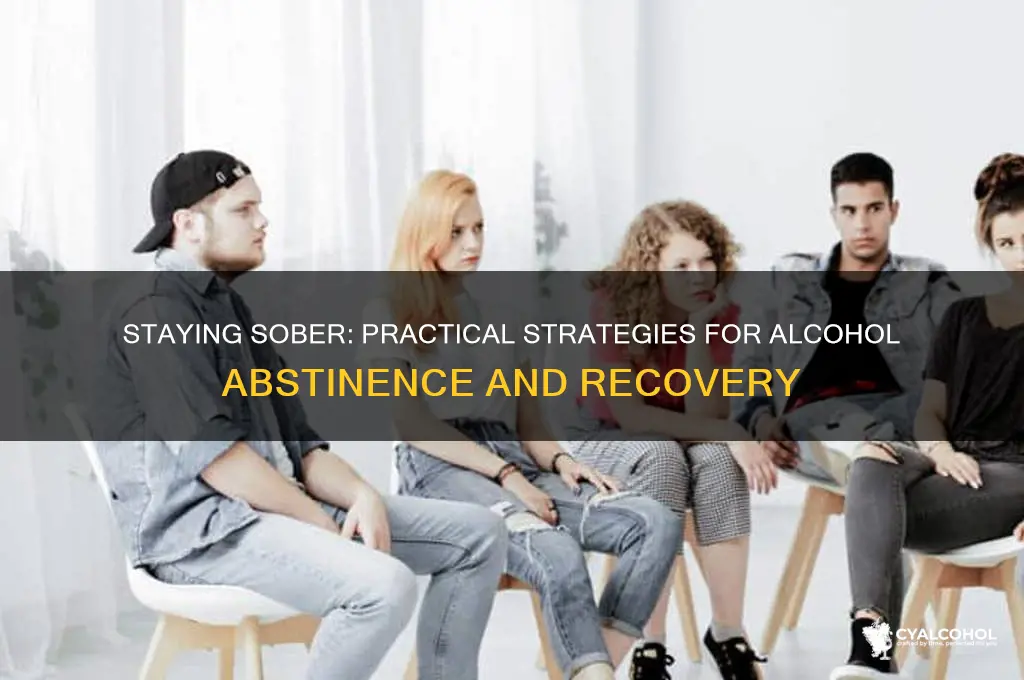 Staying Sober: Practical Strategies For Alcohol Abstinence And Recovery ...