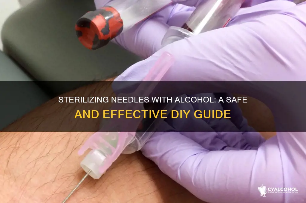 Sterilizing Needles With Alcohol: A Safe And Effective Diy Guide ...