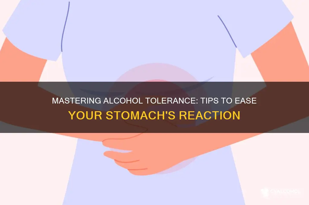 Mastering Alcohol Tolerance: Tips To Ease Your Stomach's Reaction ...