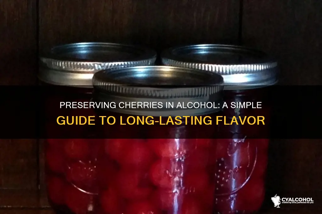 Preserving Cherries In Alcohol: A Simple Guide To Long-Lasting Flavor ...