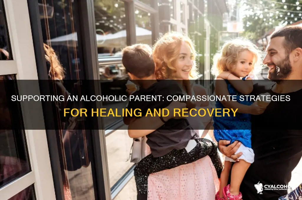 Supporting An Alcoholic Parent: Compassionate Strategies For Healing ...