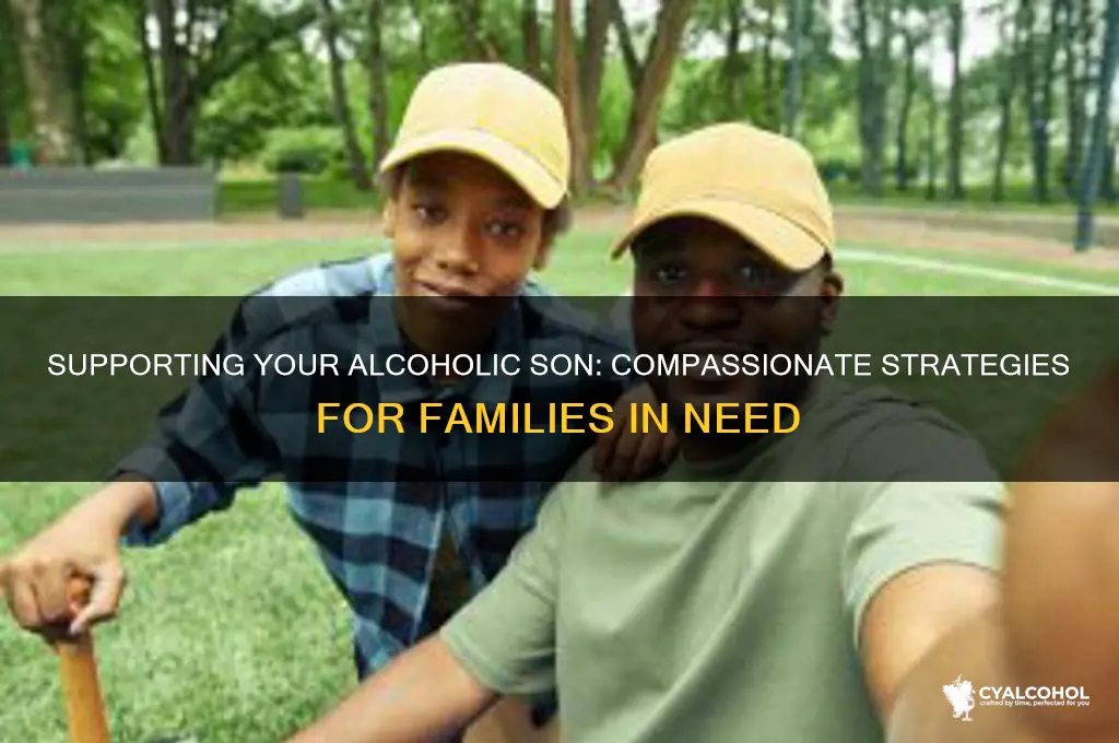 Supporting Your Alcoholic Son: Compassionate Strategies For Families In ...