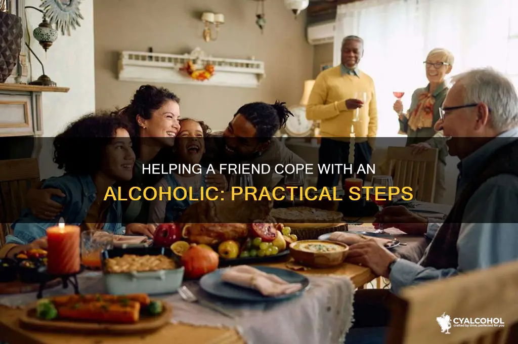 Helping A Friend Cope With An Alcoholic: Practical Steps | CyAlcohol