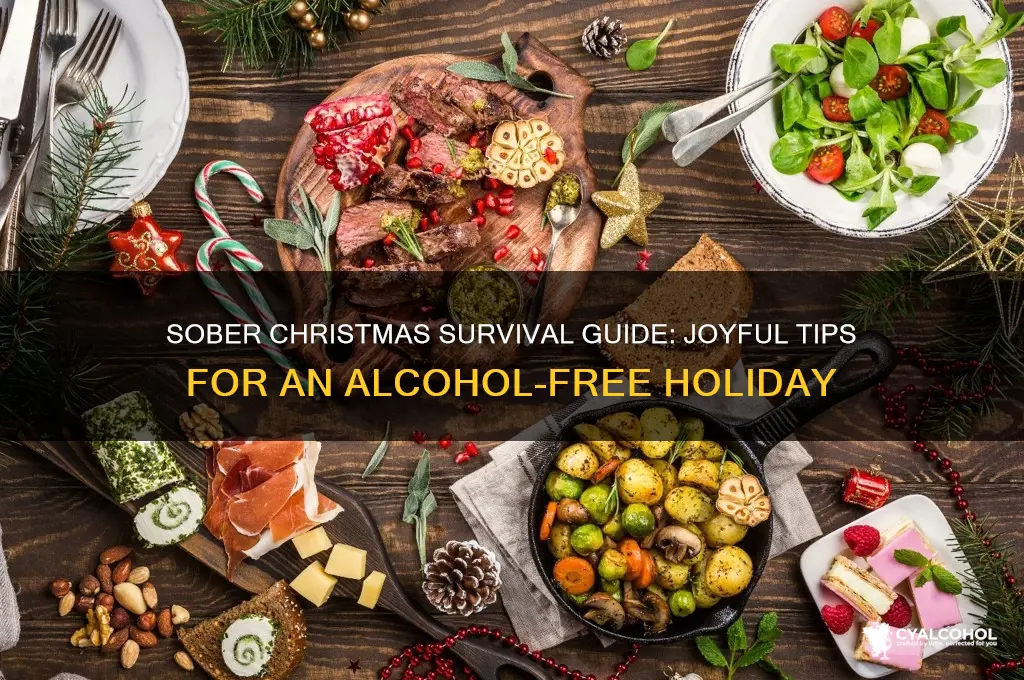Sober Christmas Survival Guide: Joyful Tips For An Alcohol-Free Holiday ...