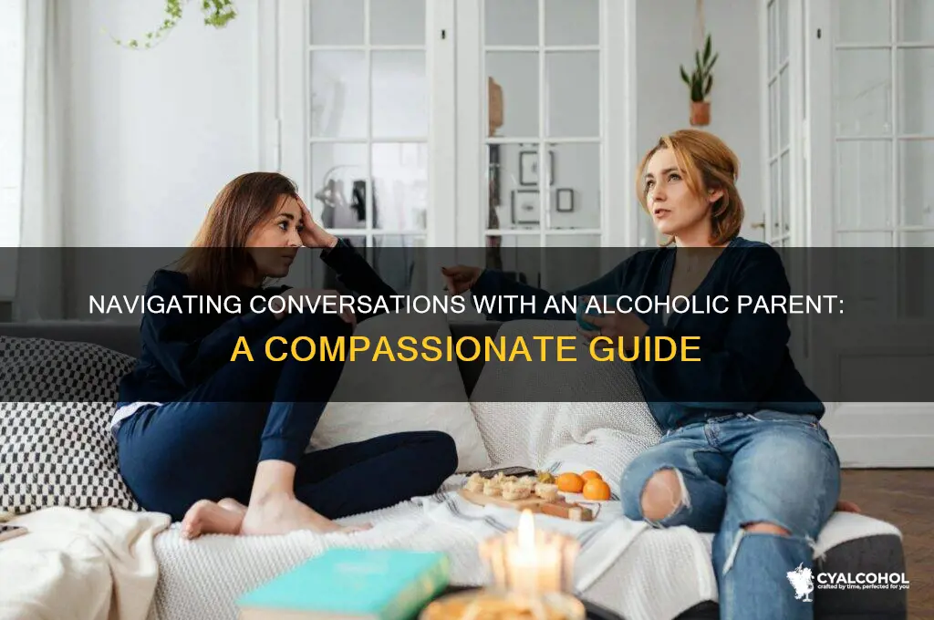 Navigating Conversations With An Alcoholic Parent: A Compassionate ...
