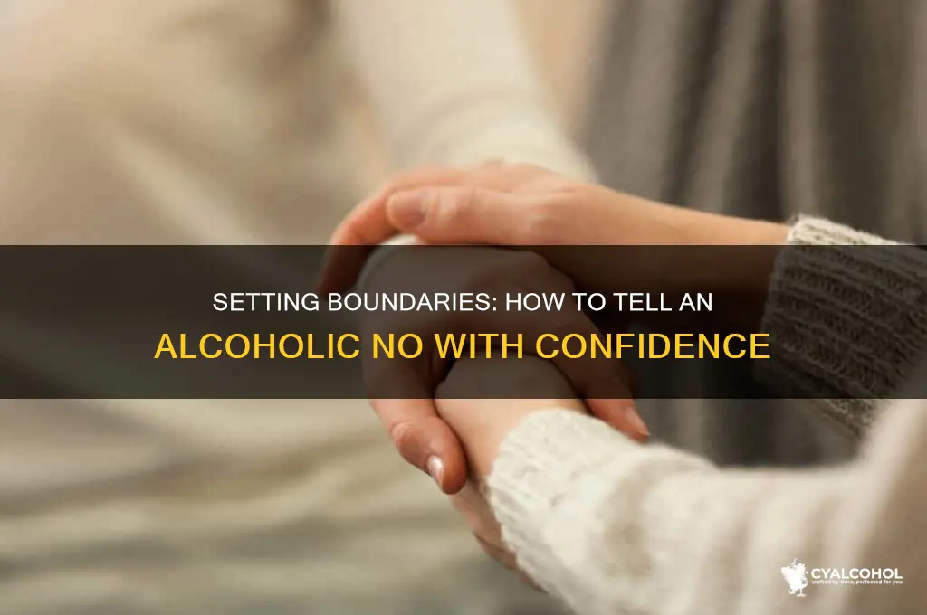 Setting Boundaries: How To Tell An Alcoholic No With Confidence | CyAlcohol