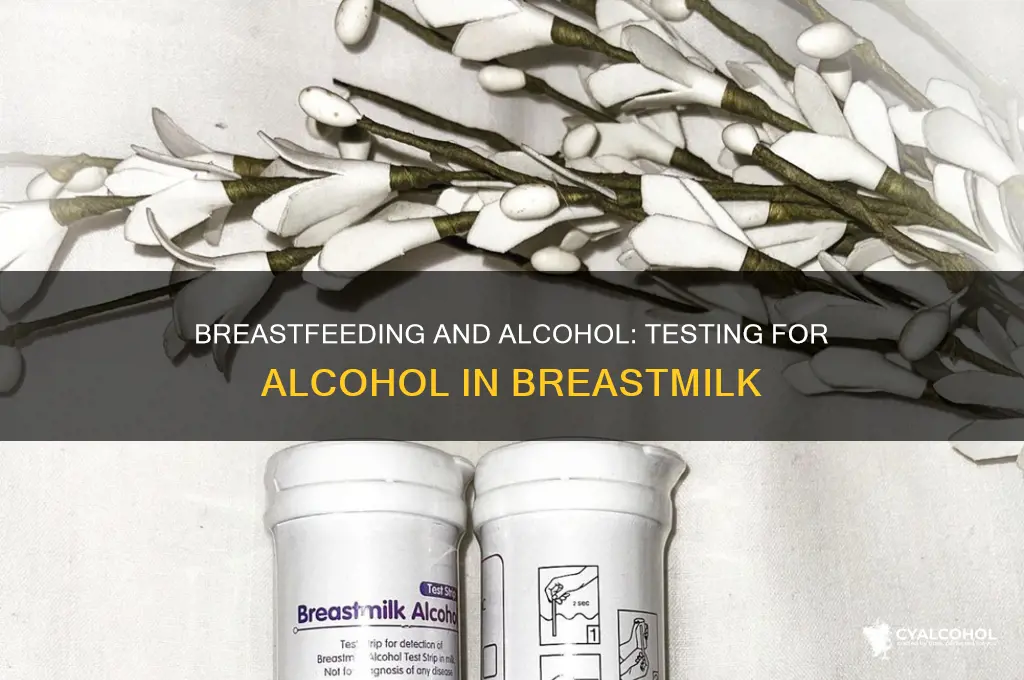 Breastfeeding And Alcohol: Testing For Alcohol In Breastmilk | CyAlcohol