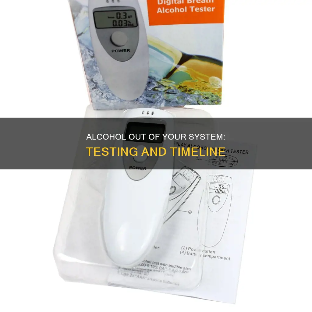 Alcohol Out Of Your System: Testing And Timeline | CyAlcohol