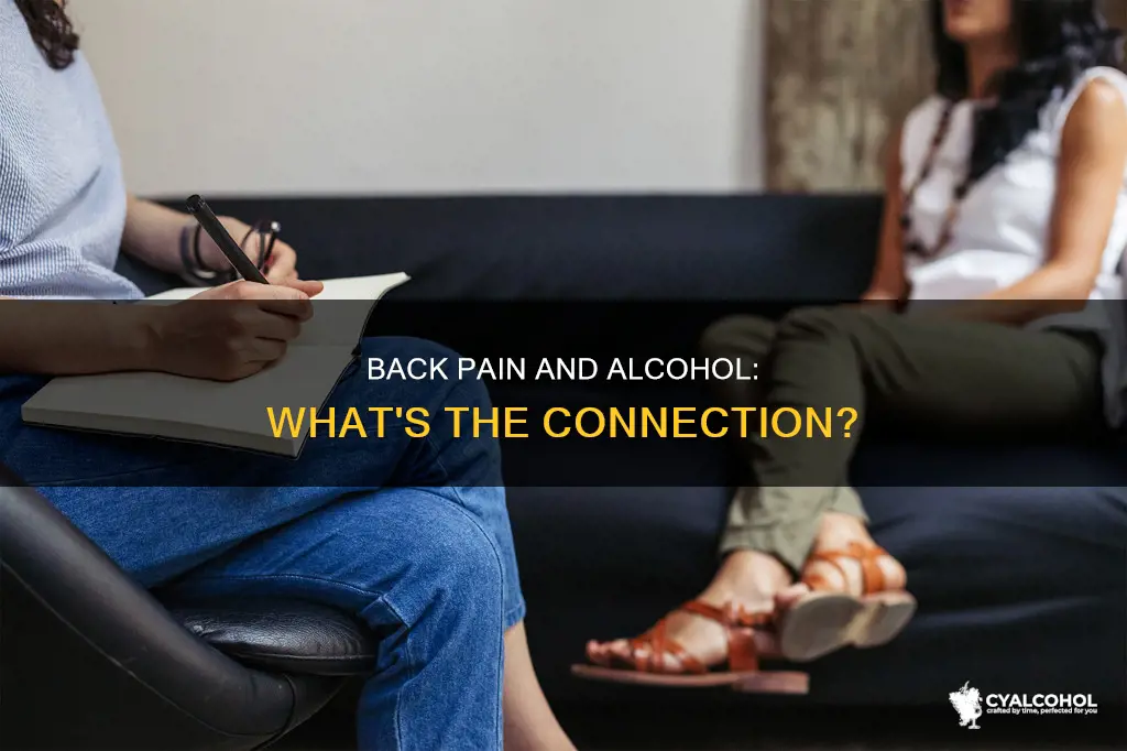 Back Pain And Alcohol: What's The Connection? | CyAlcohol