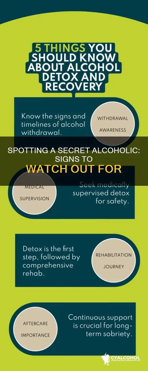 Spotting A Secret Alcoholic: Signs To Watch Out For | CyAlcohol