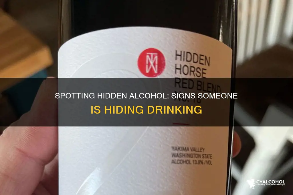 Spotting Hidden Alcohol: Signs Someone Is Hiding Drinking | CyAlcohol