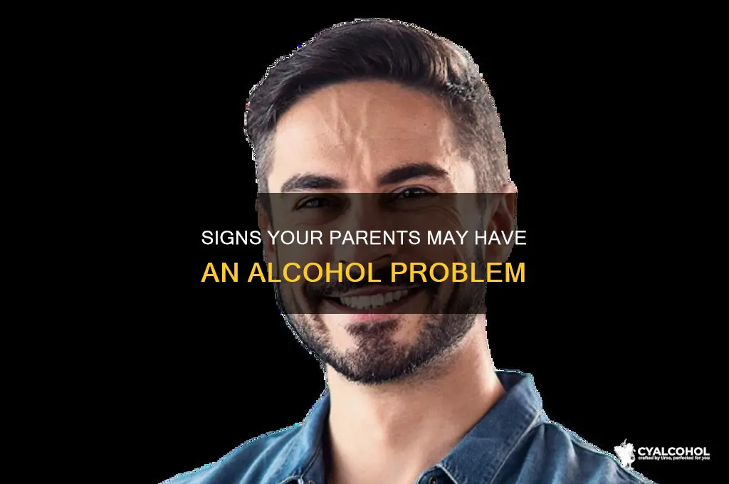 Signs Your Parents May Have An Alcohol Problem | CyAlcohol