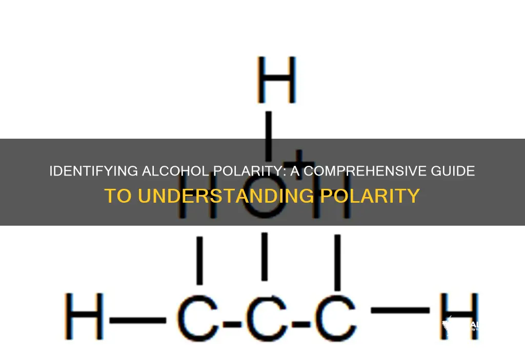 Identifying Alcohol Polarity: A Comprehensive Guide To Understanding ...