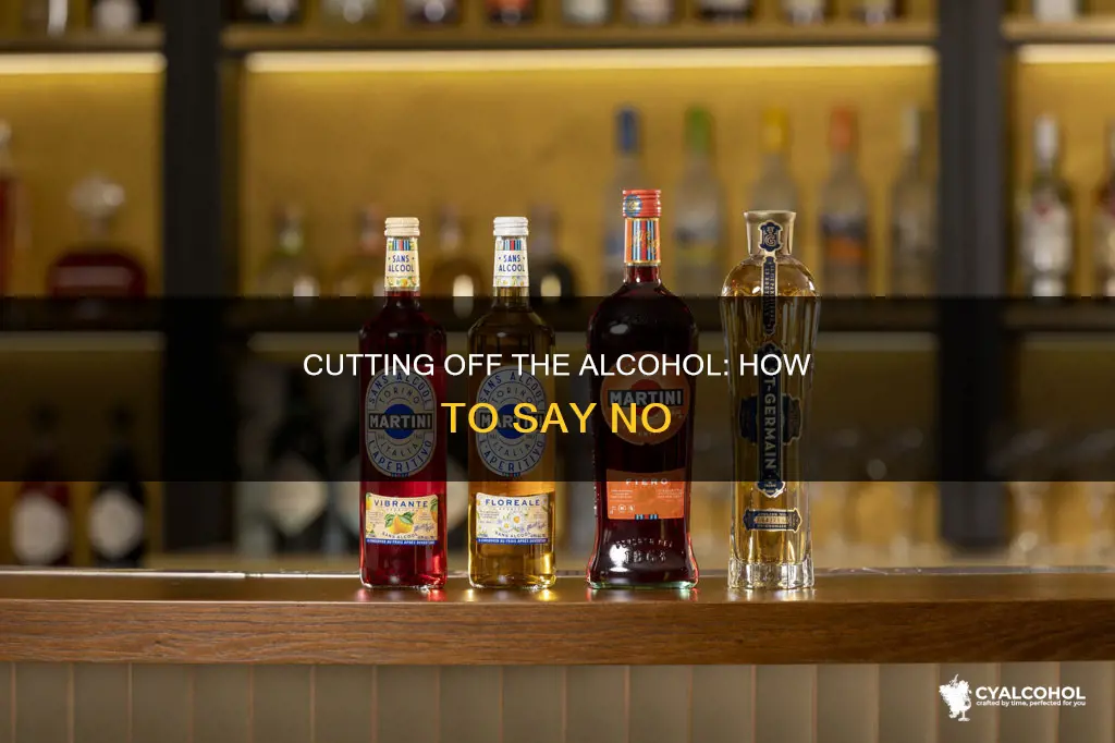 Cutting Off The Alcohol: How To Say No | CyAlcohol