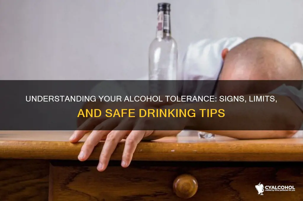 Understanding Your Alcohol Tolerance: Signs, Limits, And Safe Drinking ...