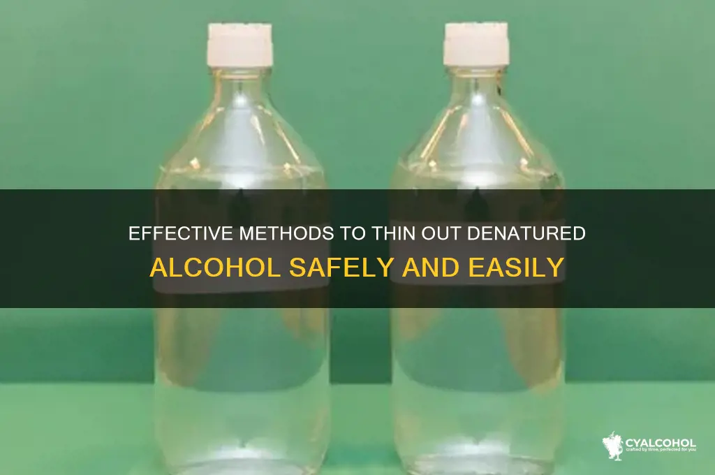 Effective Methods To Thin Out Denatured Alcohol Safely And Easily ...
