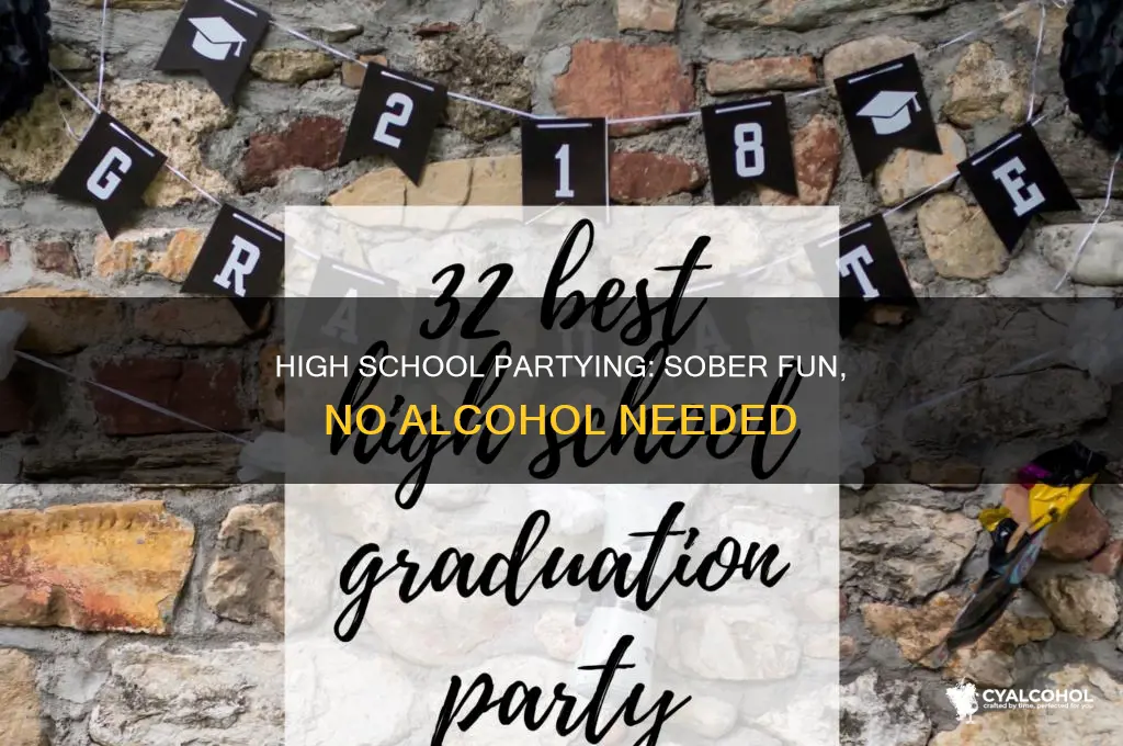 High School Partying: Sober Fun, No Alcohol Needed | CyAlcohol