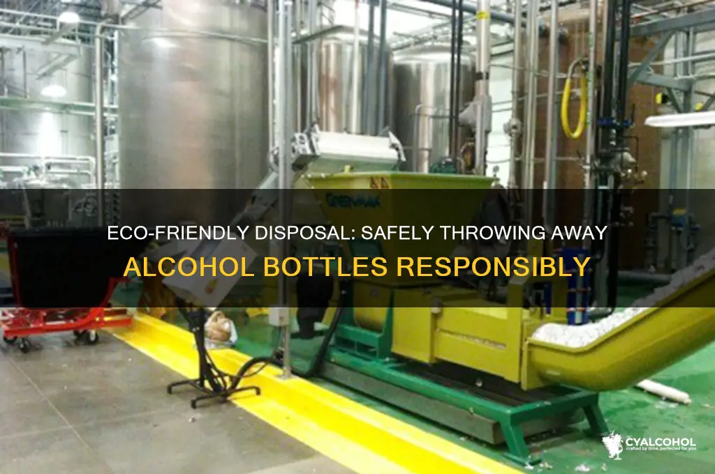 Eco-Friendly Disposal: Safely Throwing Away Alcohol Bottles Responsibly ...