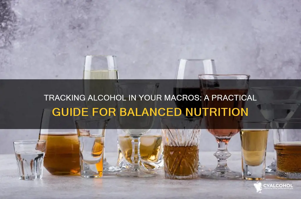 Tracking Alcohol In Your Macros: A Practical Guide For Balanced ...