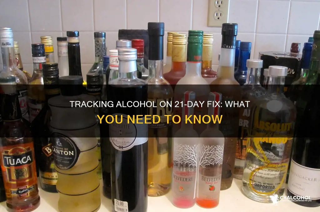 Tracking Alcohol On 21-Day Fix: What You Need To Know | CyAlcohol