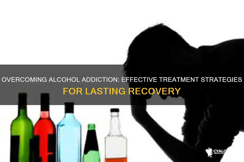 Overcoming Alcohol Addiction: Effective Treatment Strategies For ...