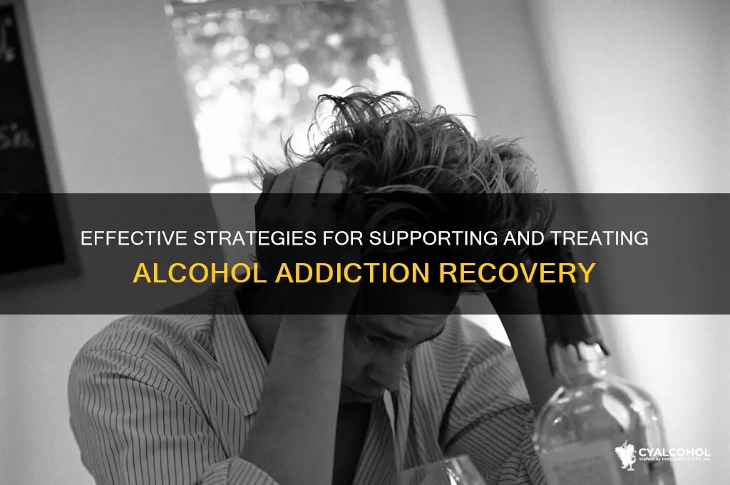 Effective Strategies For Supporting And Treating Alcohol Addiction ...