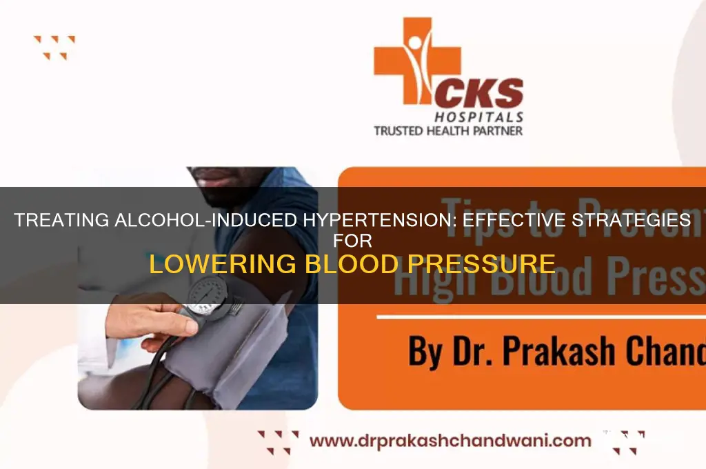 Treating Alcohol-Induced Hypertension: Effective Strategies For ...