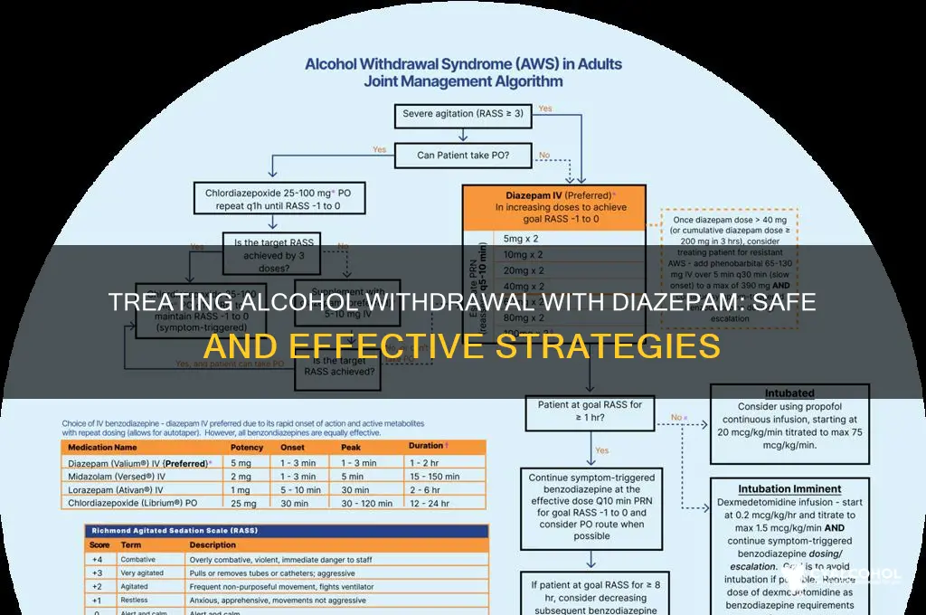 Treating Alcohol Withdrawal With Diazepam: Safe And Effective ...