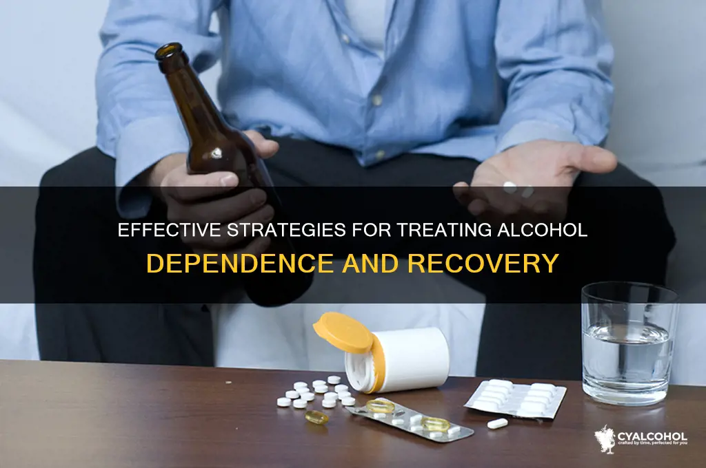 Effective Strategies For Treating Alcohol Dependence And Recovery ...