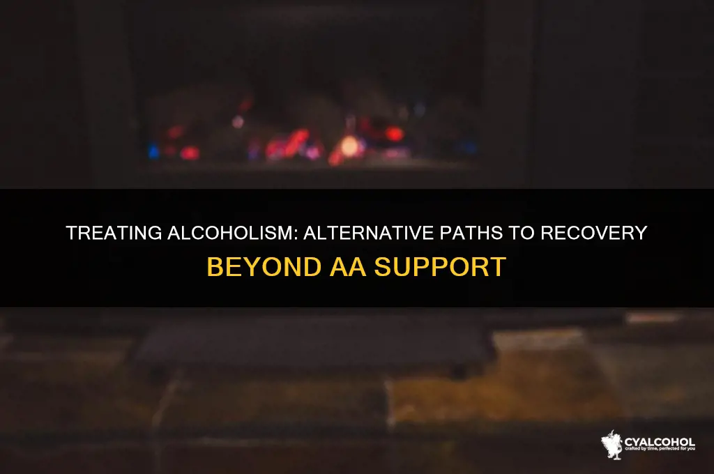 Treating Alcoholism: Alternative Paths To Recovery Beyond Aa Support ...