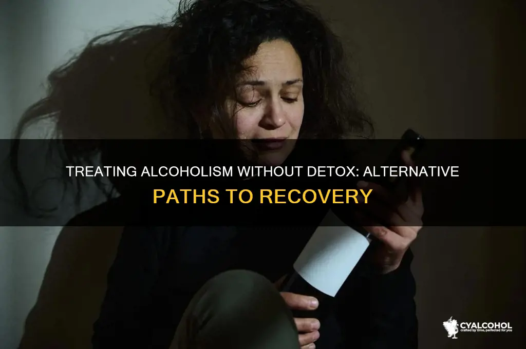 Treating Alcoholism Without Detox: Alternative Paths To Recovery ...