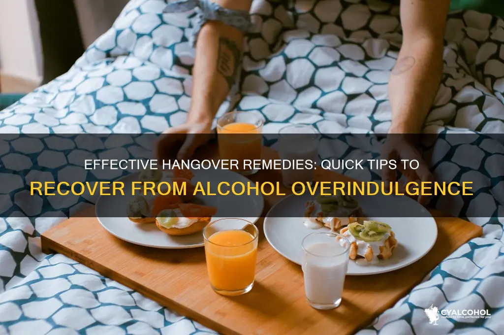 Effective Hangover Remedies: Quick Tips To Recover From Alcohol ...
