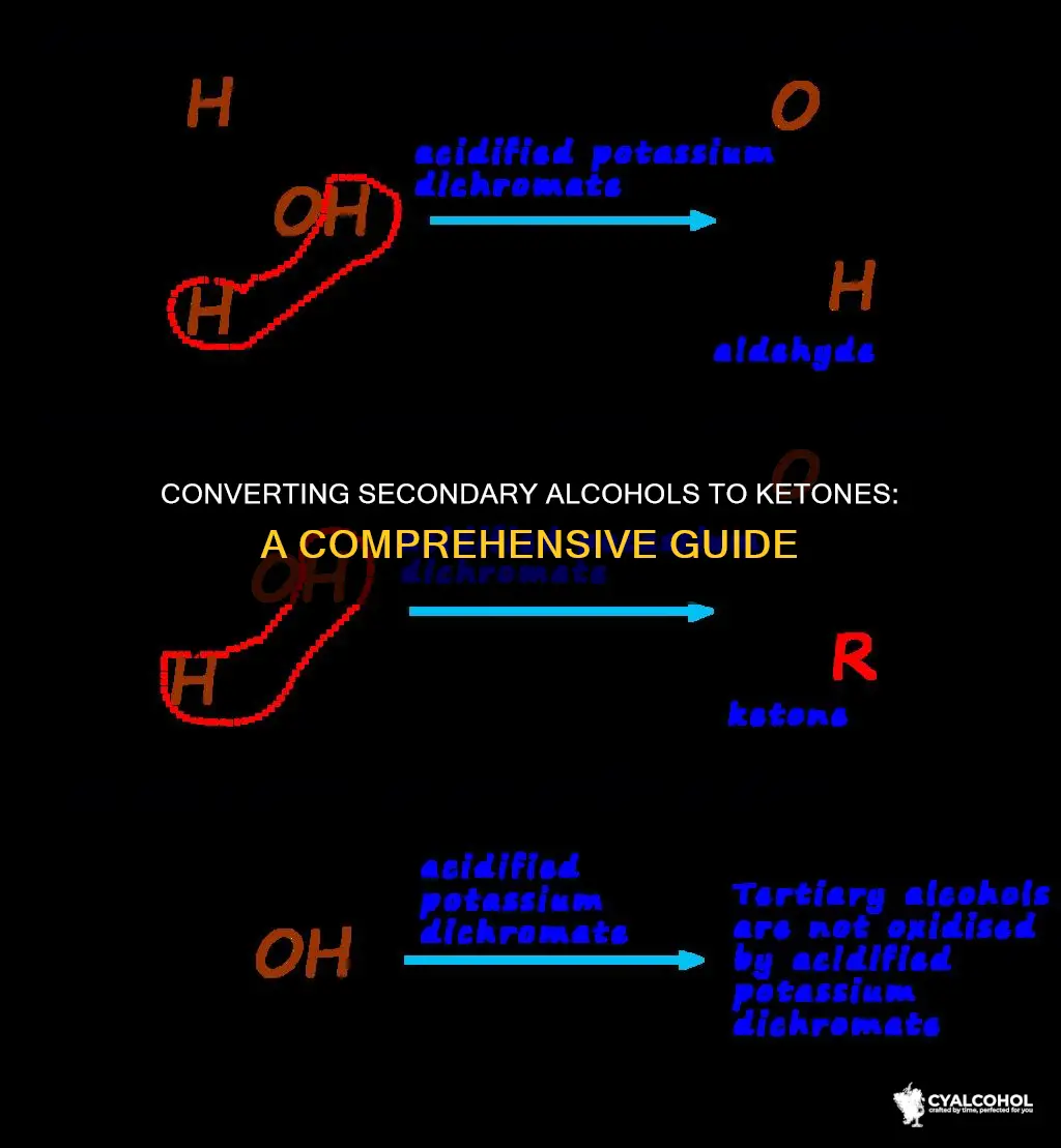 Converting Secondary Alcohols To Ketones: A Comprehensive Guide | CyAlcohol