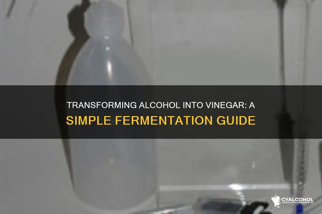 Transforming Alcohol Into Vinegar: A Simple Fermentation Guide | CyAlcohol