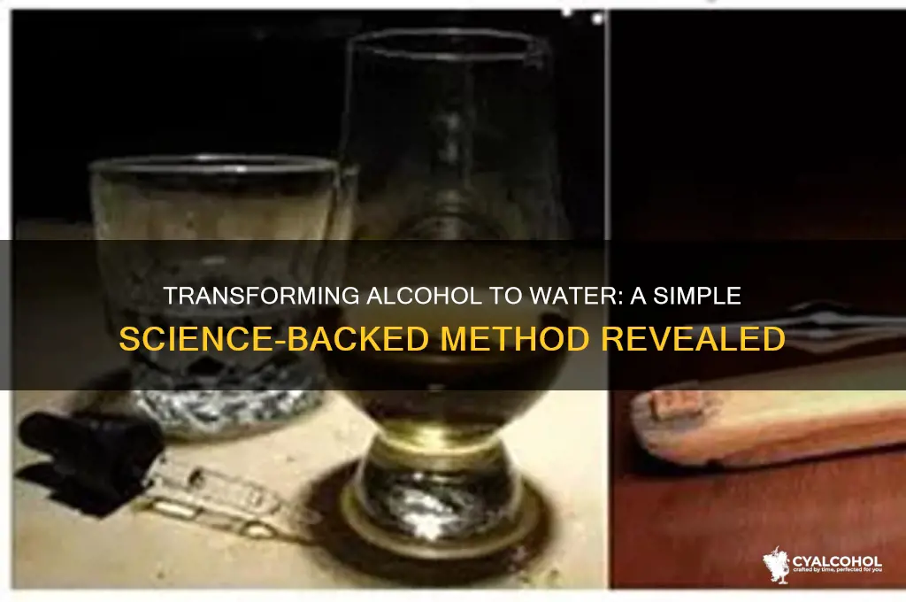 Transforming Alcohol To Water: A Simple Science-Backed Method Revealed ...
