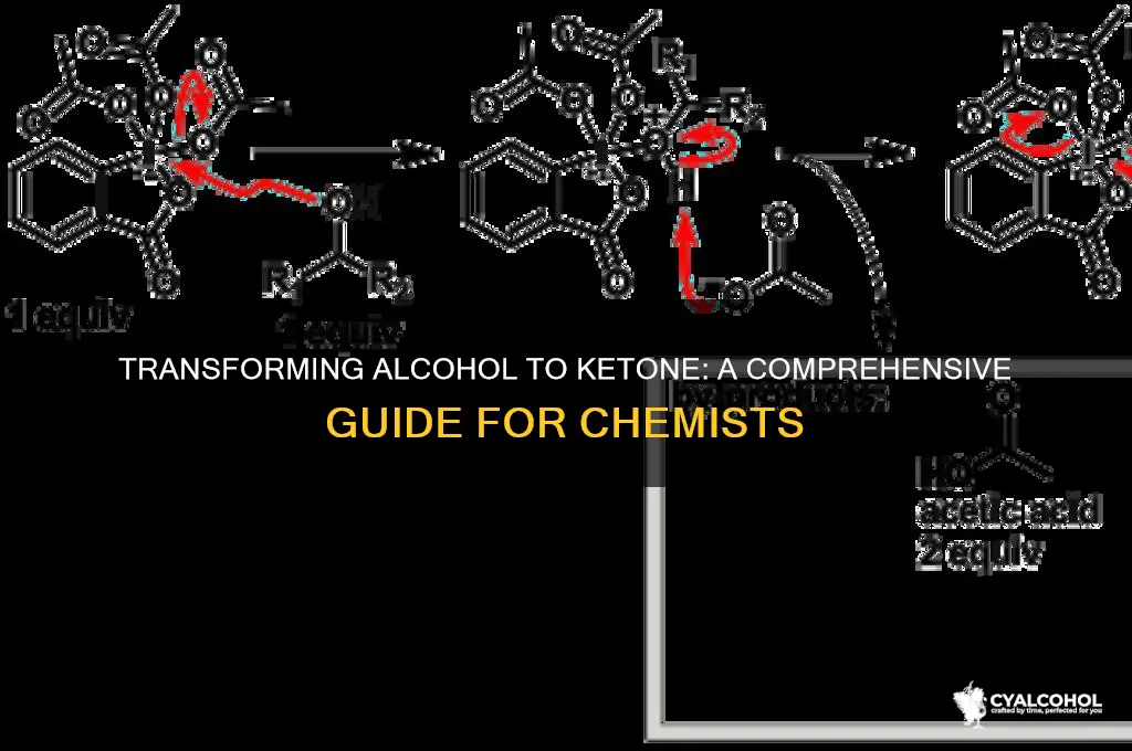 Transforming Alcohol To Ketone: A Comprehensive Guide For Chemists ...