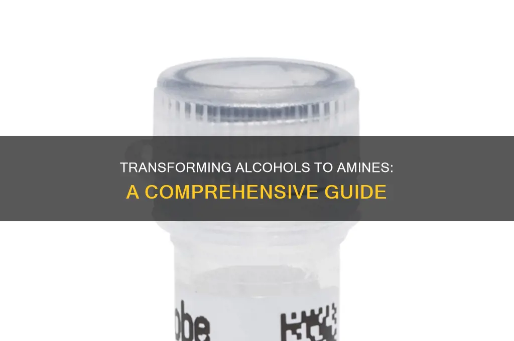 Transforming Alcohols To Amines: A Comprehensive Guide | CyAlcohol