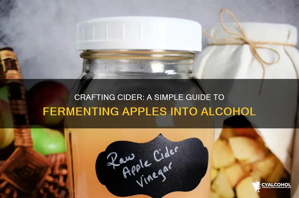 Crafting Cider: A Simple Guide To Fermenting Apples Into Alcohol ...