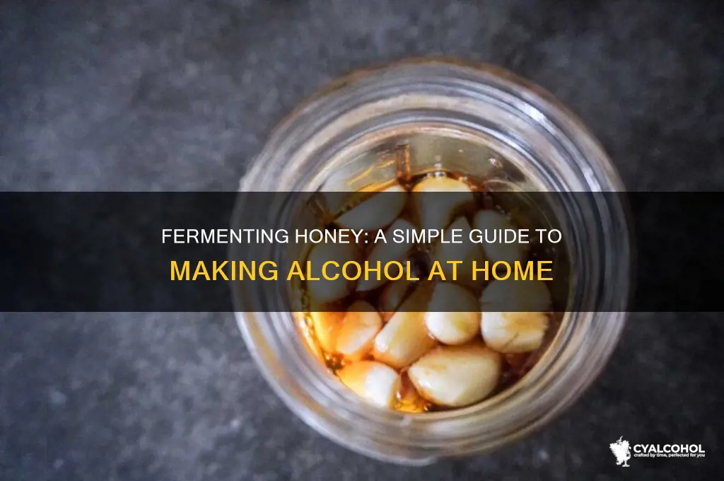 Fermenting Honey: A Simple Guide To Making Alcohol At Home | CyAlcohol