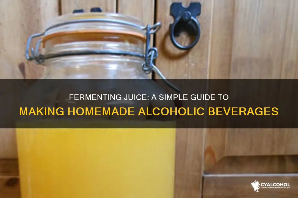 Fermenting Juice: A Simple Guide To Making Homemade Alcoholic Beverages ...