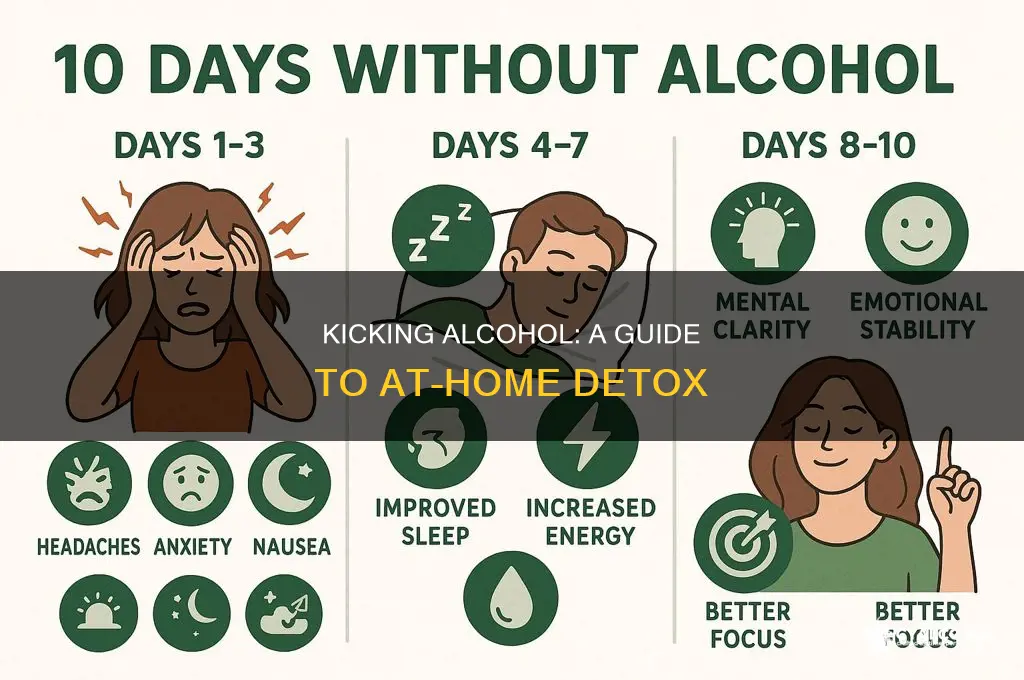Kicking Alcohol: A Guide To At-Home Detox | CyAlcohol