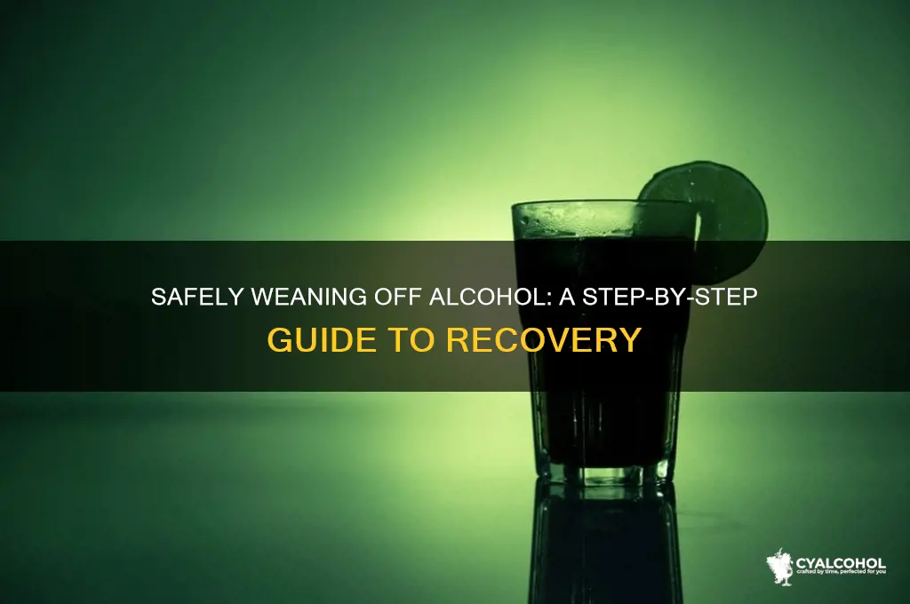 Safely Weaning Off Alcohol: A Step-By-Step Guide To Recovery | CyAlcohol