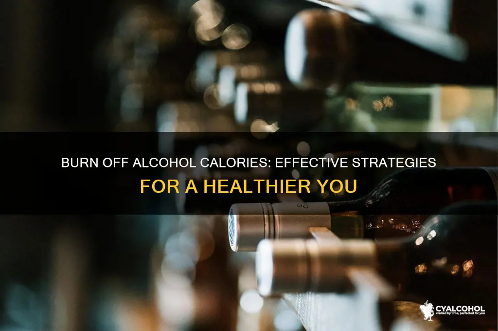 Burn Off Alcohol Calories: Effective Strategies For A Healthier You ...