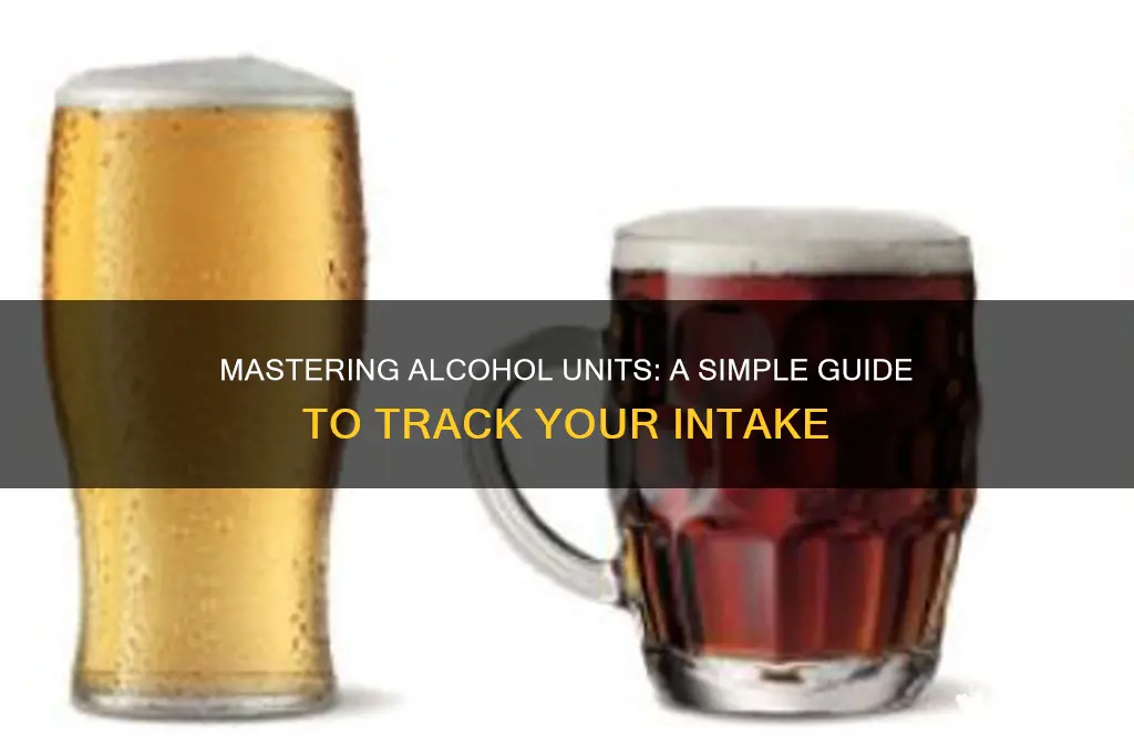 Mastering Alcohol Units: A Simple Guide To Track Your Intake | CyAlcohol
