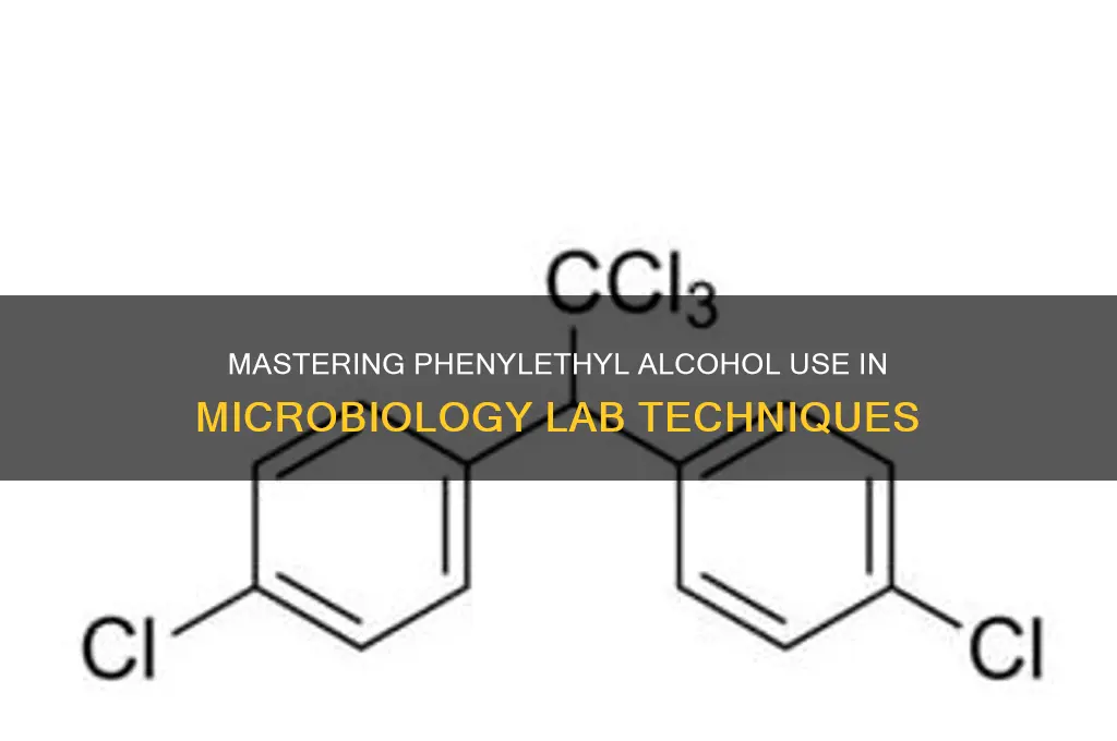 Mastering Phenylethyl Alcohol Use In Microbiology Lab Techniques ...